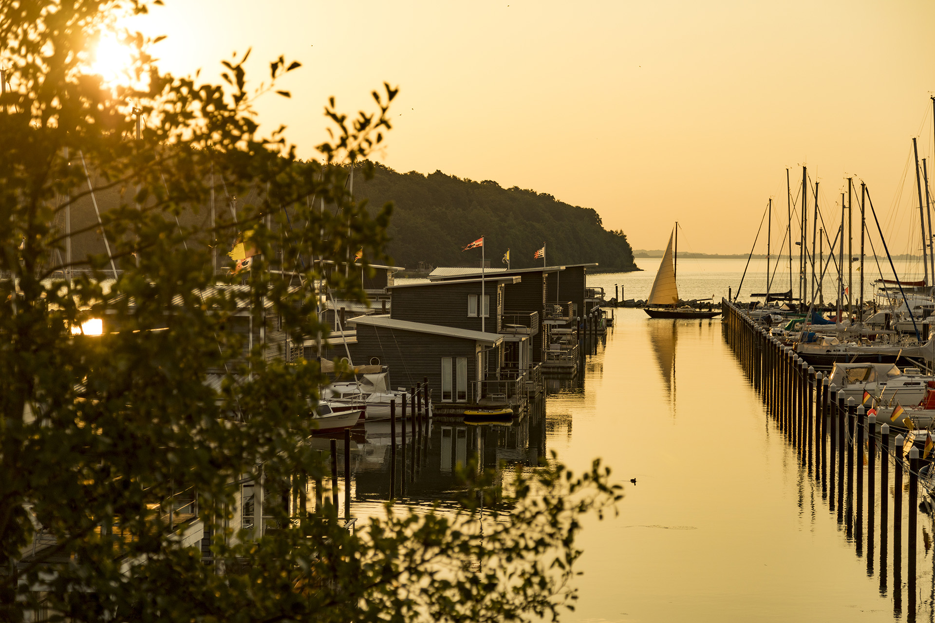 im-jaich | Dauerlieger